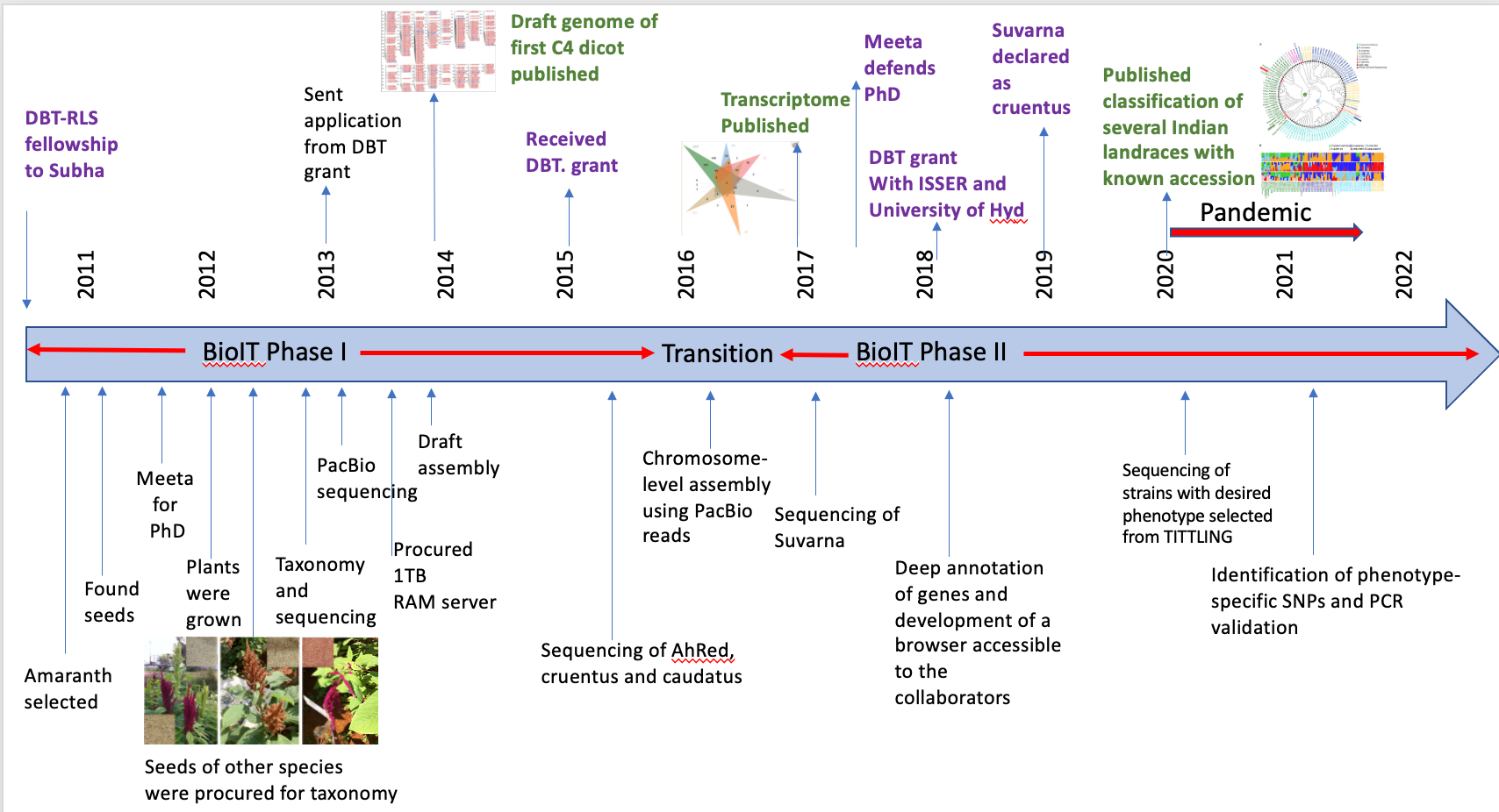 Plants – SUBHA LAB